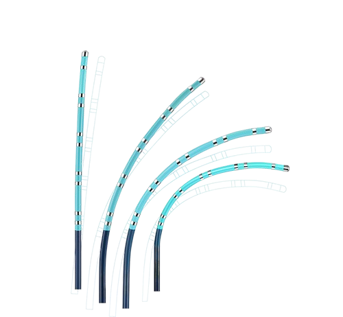 Triguy™ Steerable Mapping Catheter - Halomedicals Systems - USA